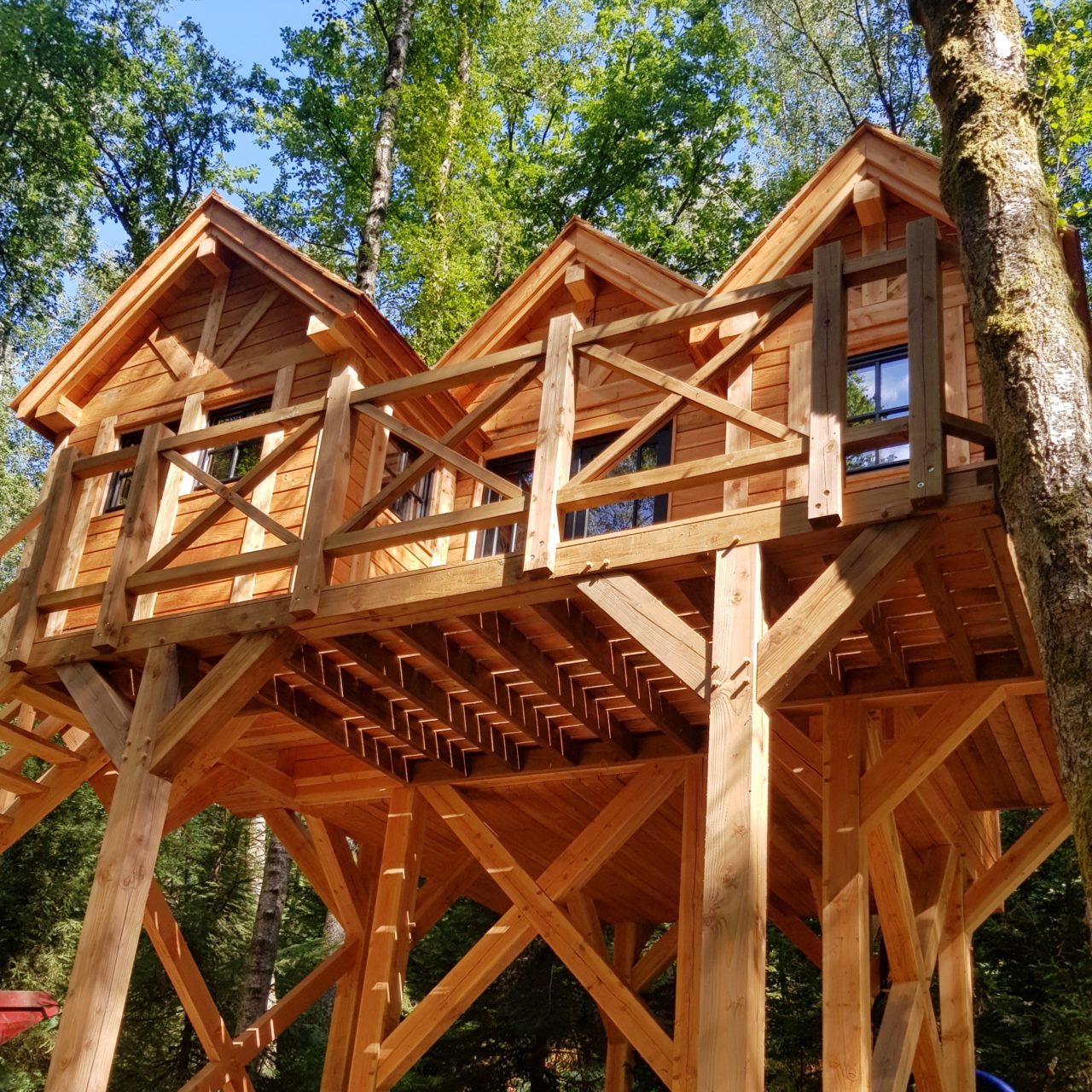 Tiny House sur pilotis (D47) | Back To Wood